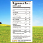 electrolyte powder with essential vitamins