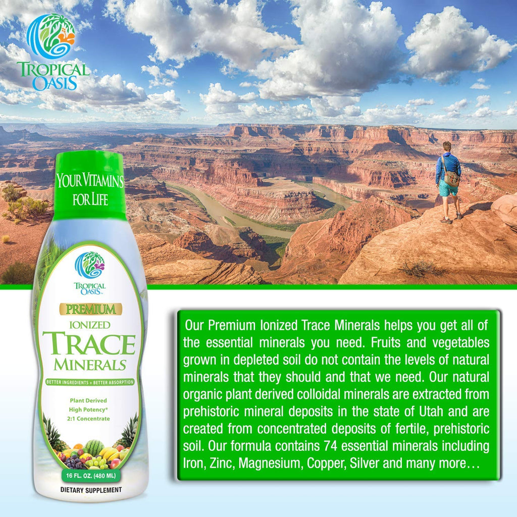 electrolyte support with trace minerals