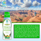 electrolyte support with trace minerals