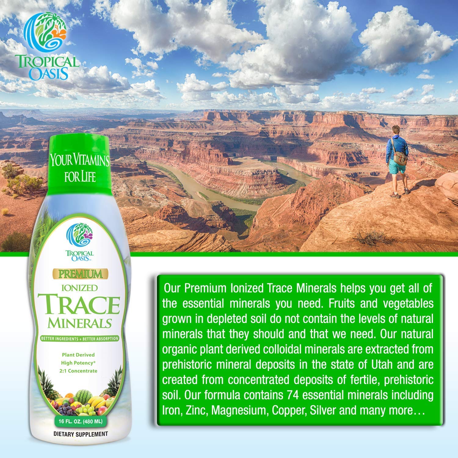 electrolyte support with trace minerals