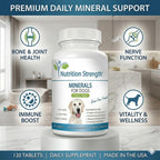 electrolyte tablets for active dogs
