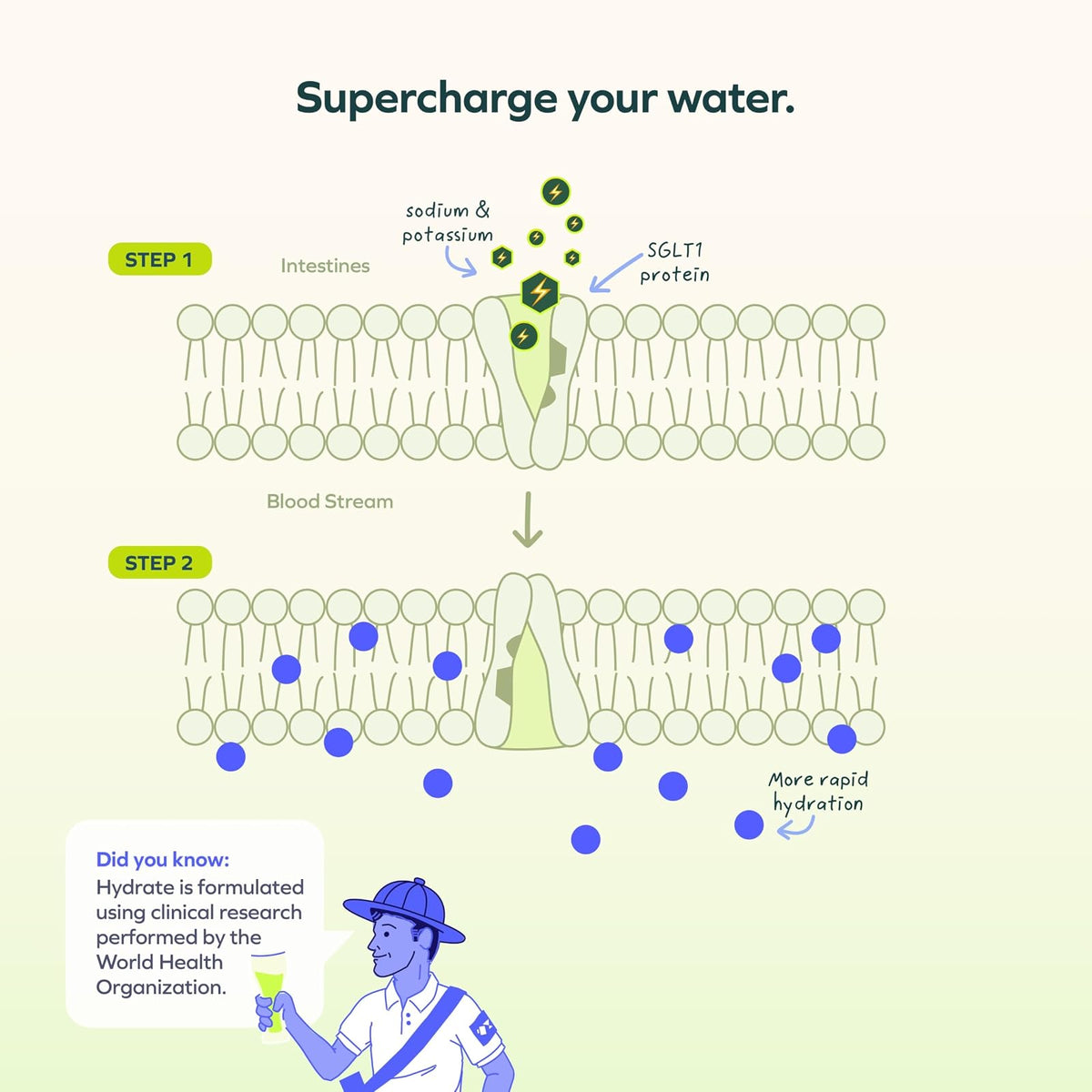 Electrolyte tablets for quick recovery