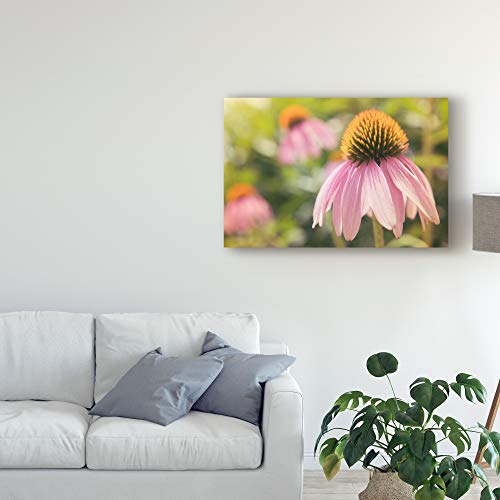 elegant echinacea artwork to enhance interiors