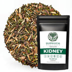 Elephantal Wellness kidney herbal tea benefits