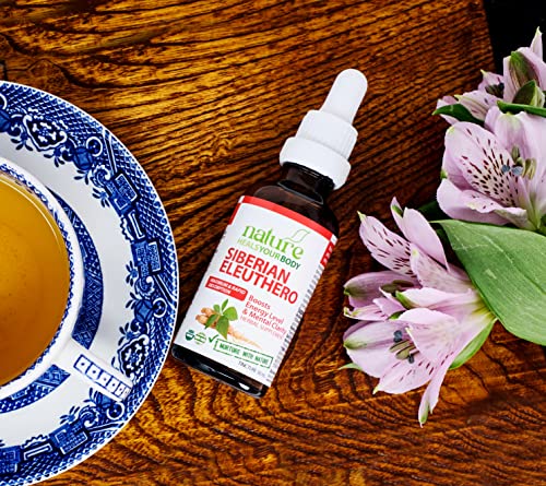 Eleuthero ginseng for daily vitality