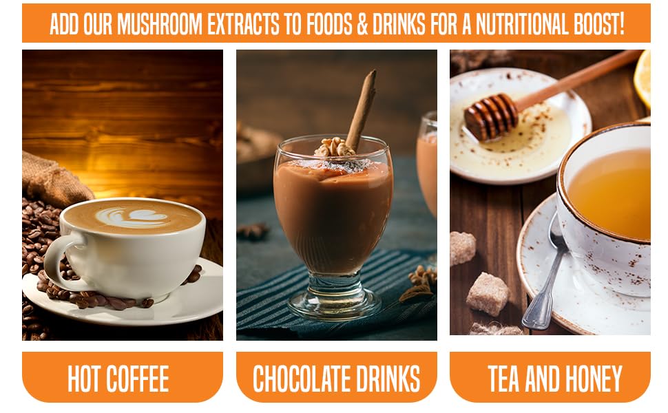 Ellie's Best mushroom powder benefits