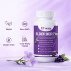 ELVERA elderberry capsules for daily nutrition