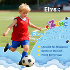 Elysx zinc drops for daily nutrition