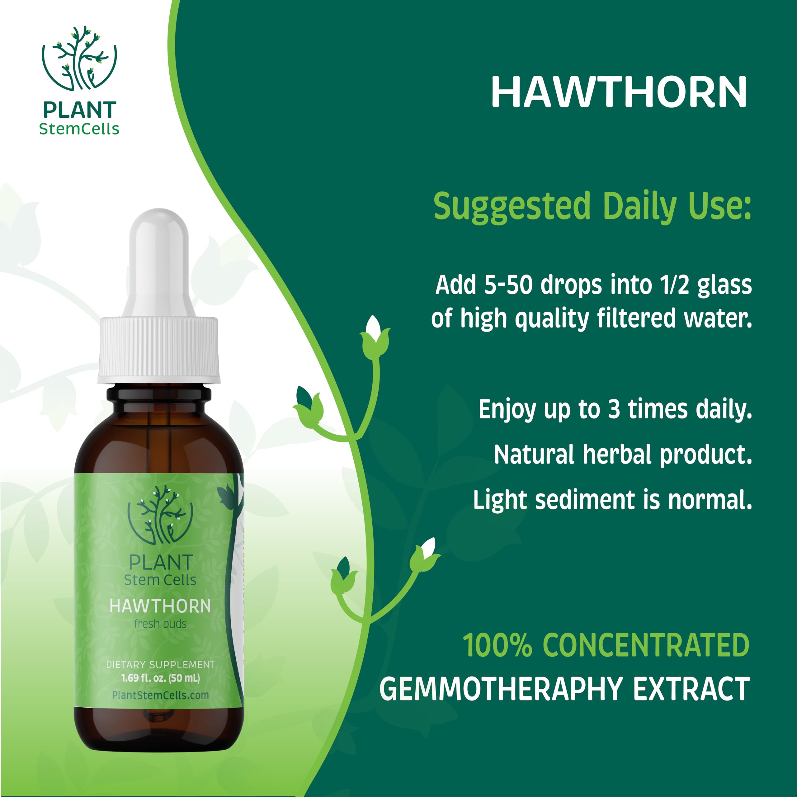 embryonic hawthorn buds benefits