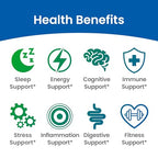 ENCAPSULATE mushroom capsules for daily nutrition