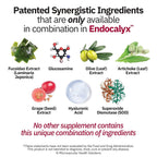 Endocalyx multivitamins for energy and vitality