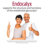 Endocalyx pre-workout for optimal circulation