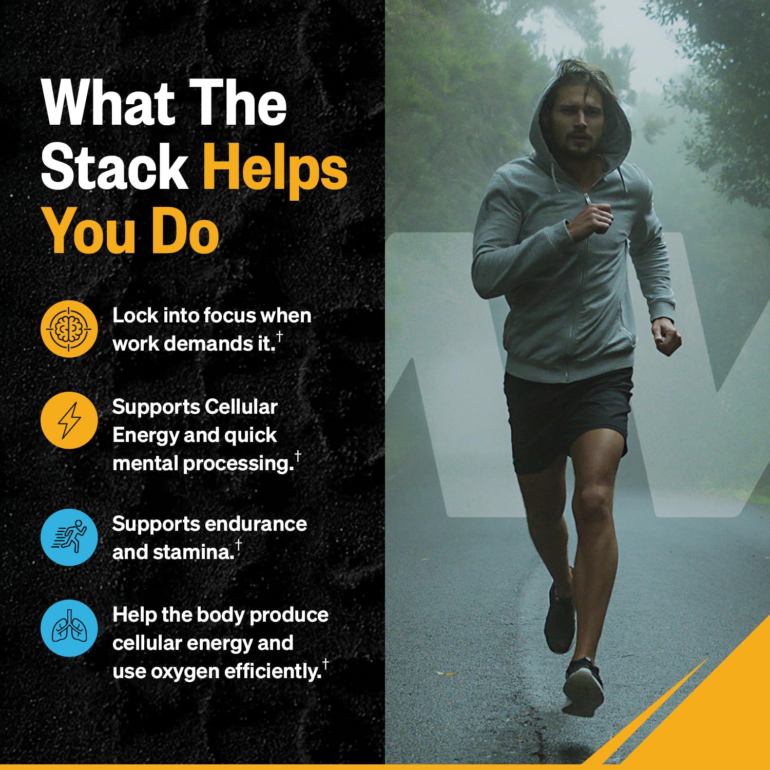 endurance supplement for athletes ONNIT