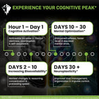endurance supplement for mental clarity