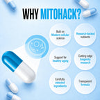 Endurance support with Urolithin A