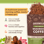 energizing chaga mushroom beverage
