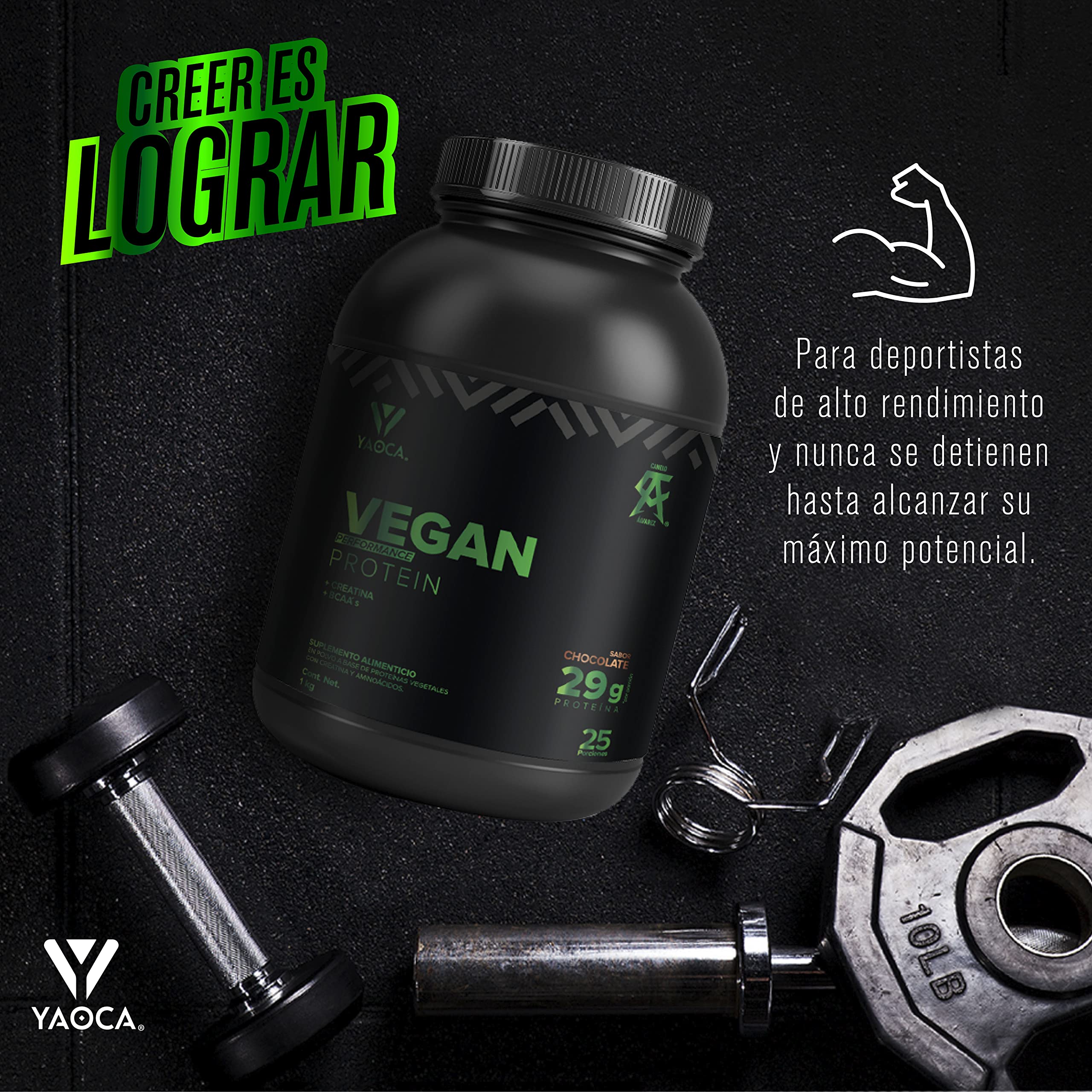 energizing chocolate protein drink