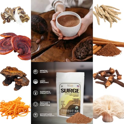 energizing cocoa drink with cordyceps