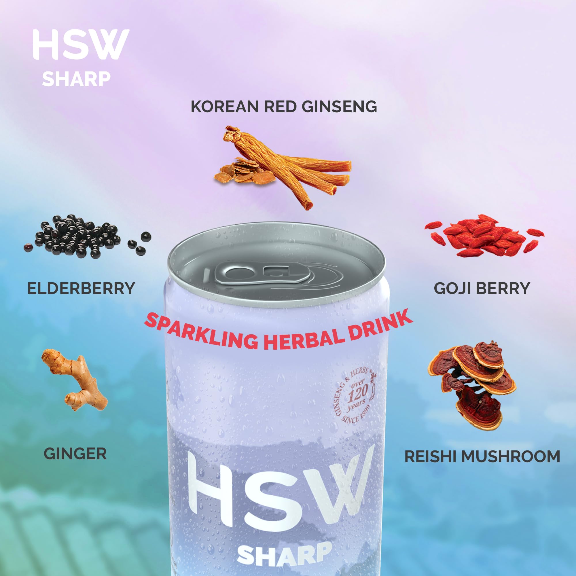 energizing elderberry infused ginseng