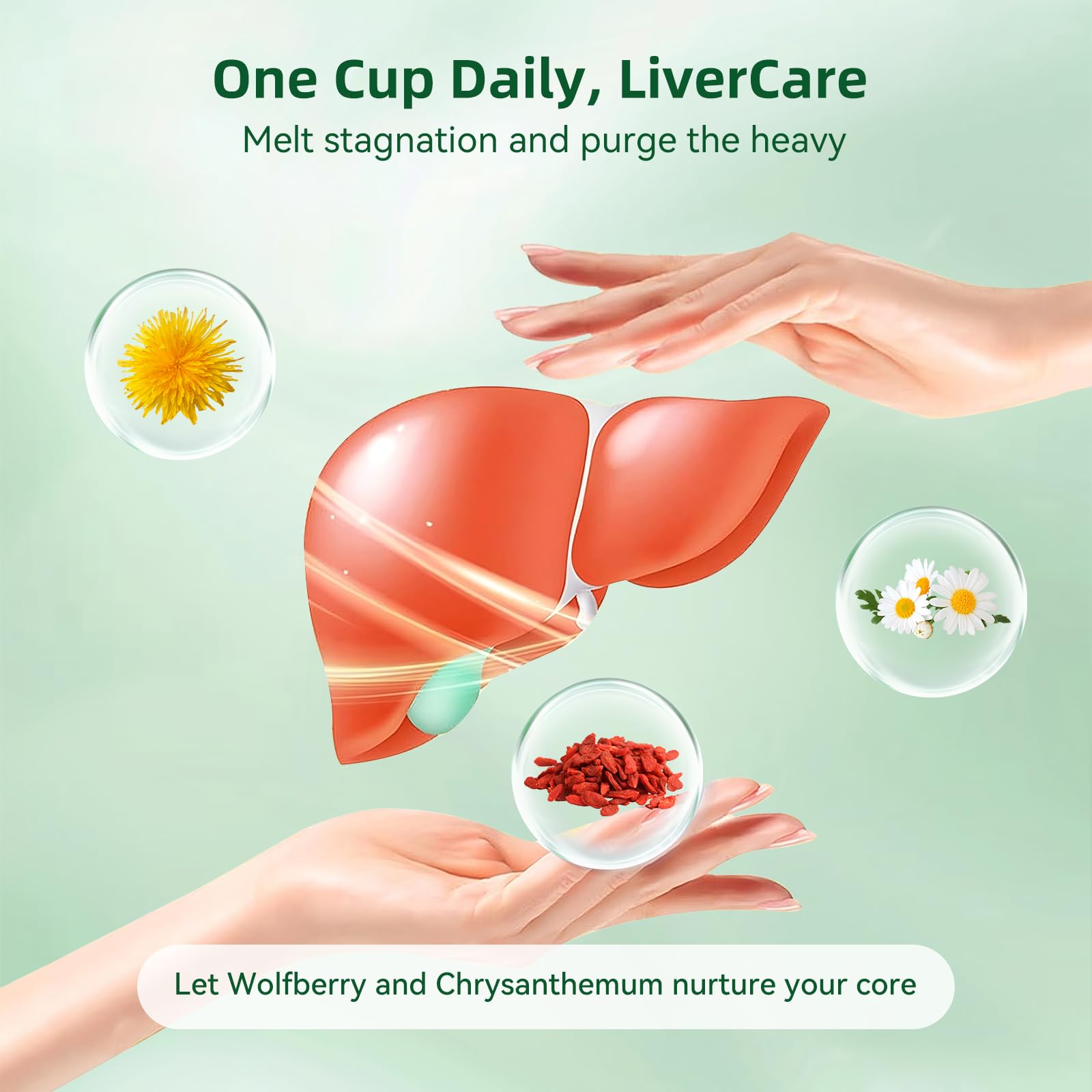 energizing ginger tea with wolfberries