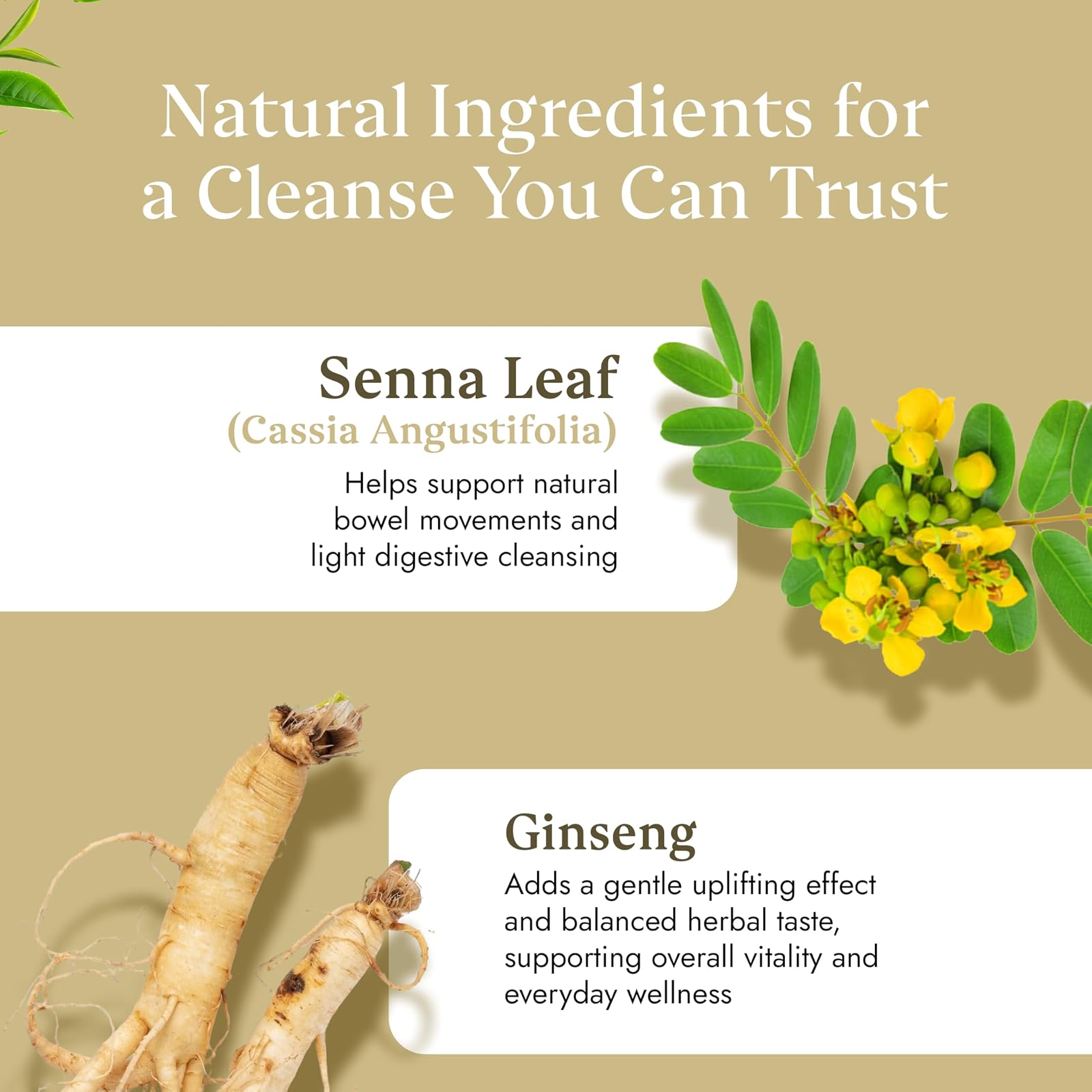 energizing ginseng tea for wellness