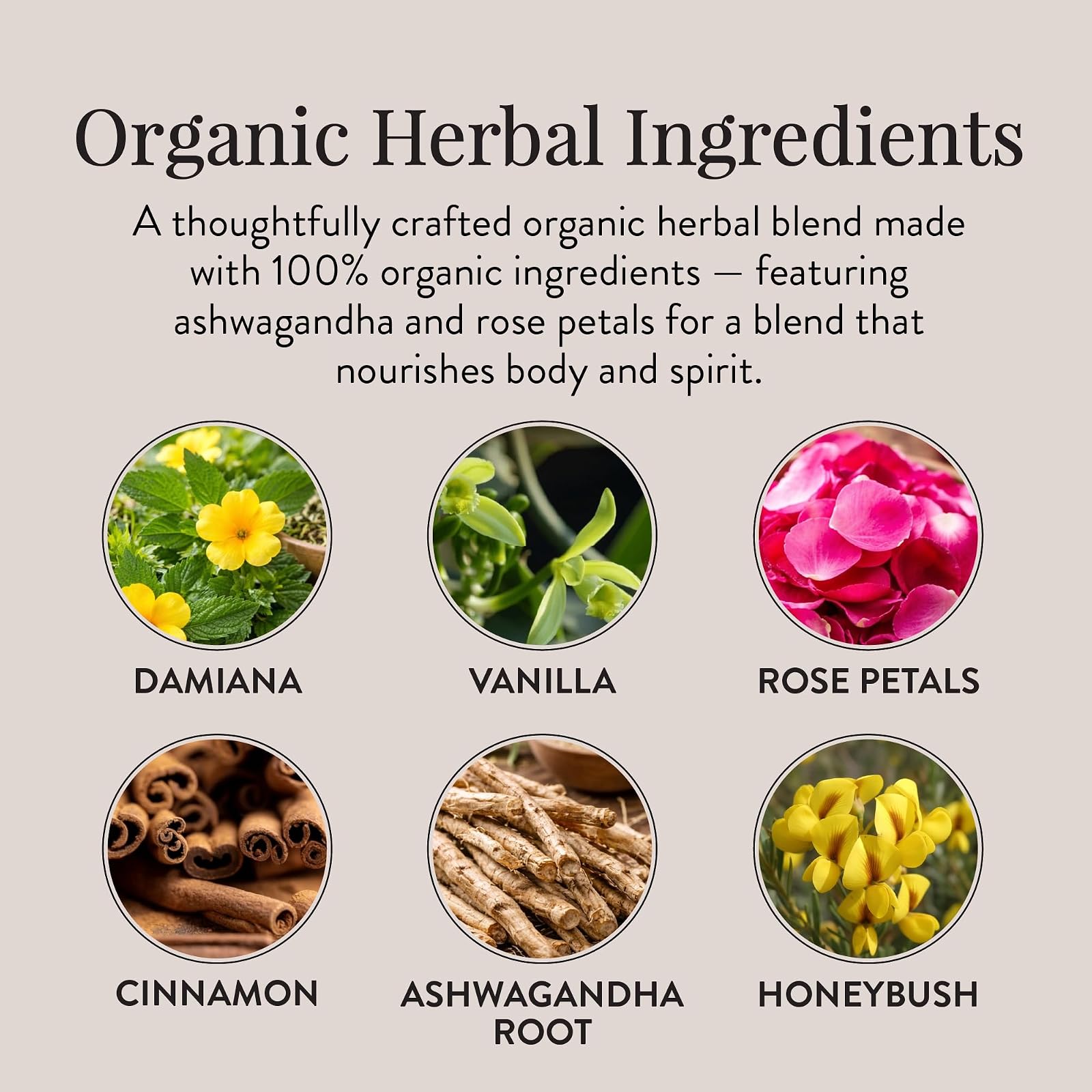 energizing green tea extract bags