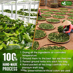 energizing green tea extract option