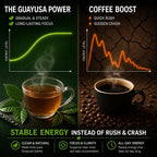 energizing guayusa tea for wellness