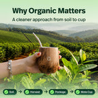 energizing herbal tea alternative