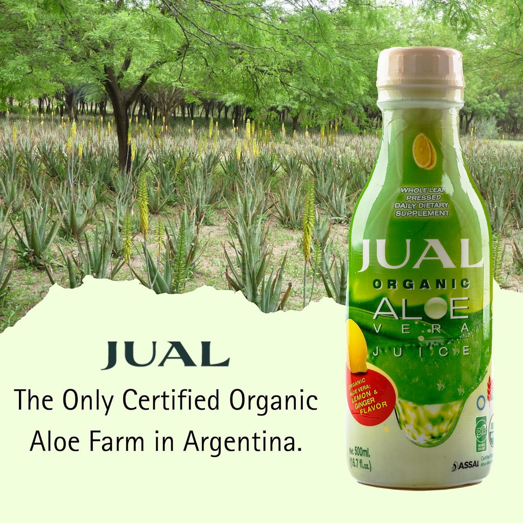 energizing lemon ginger aloe vera beverage