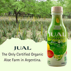 energizing lemon ginger aloe vera beverage