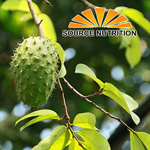 energizing soursop tea for detox