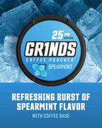 energizing spearmint coffee pouches