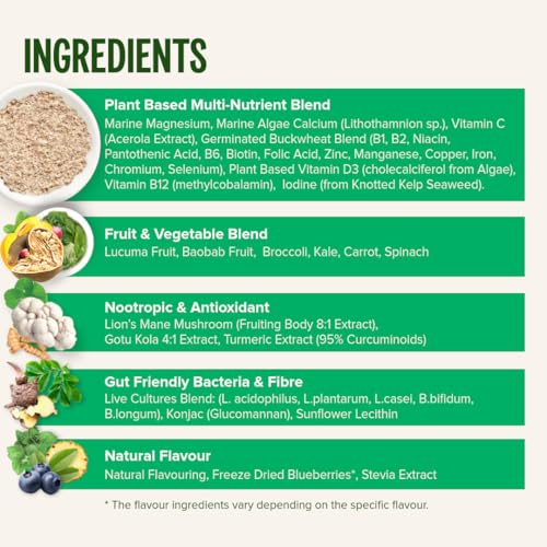 energizing vegan nutrition blend