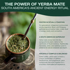 energizing yerba mate tea
