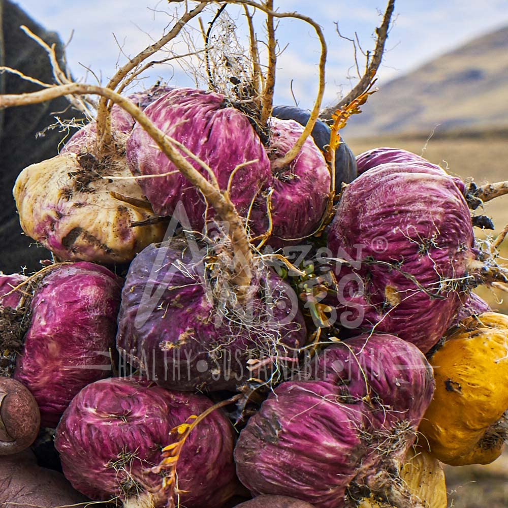Energy and vitality support with maca