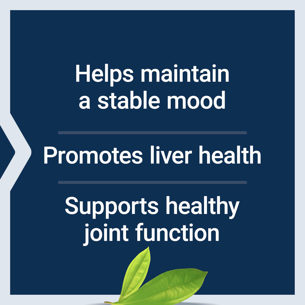 energy boost blended vitamin & mineral supplements