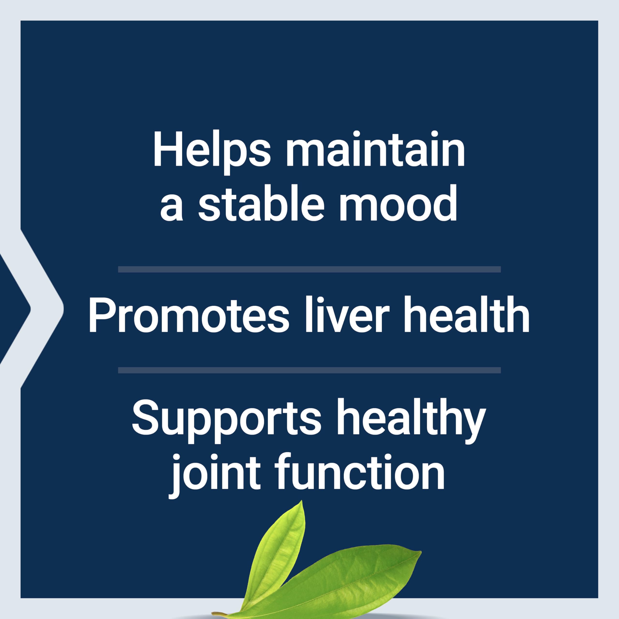energy boost blended vitamin & mineral supplements