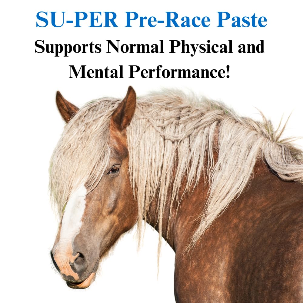 energy boost for competitive horses