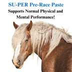 energy boost for competitive horses