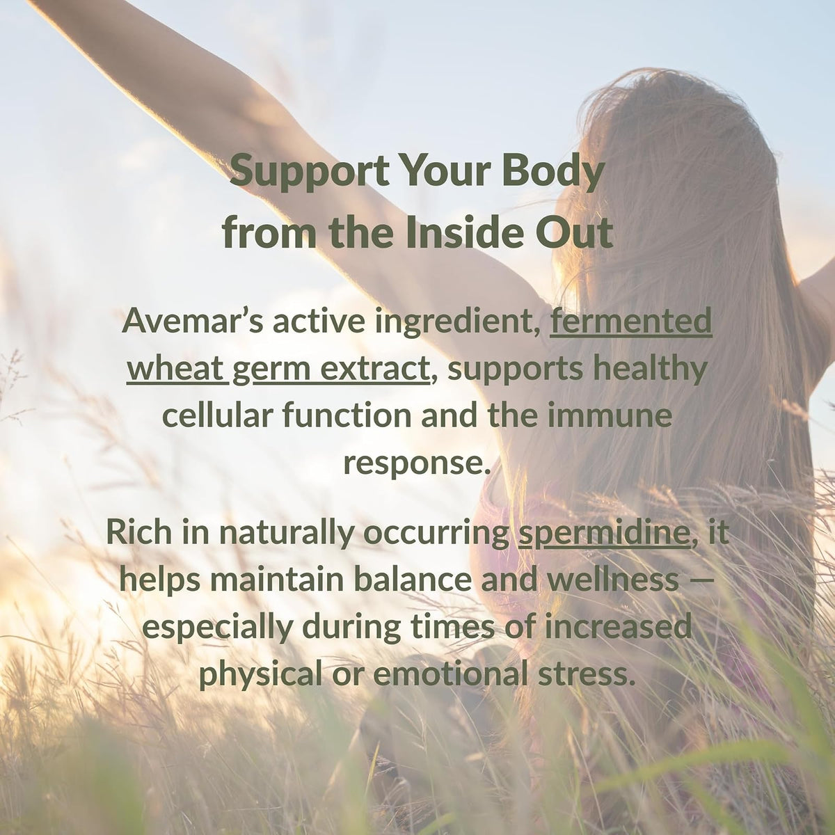 energy boost from fermented wheat germ