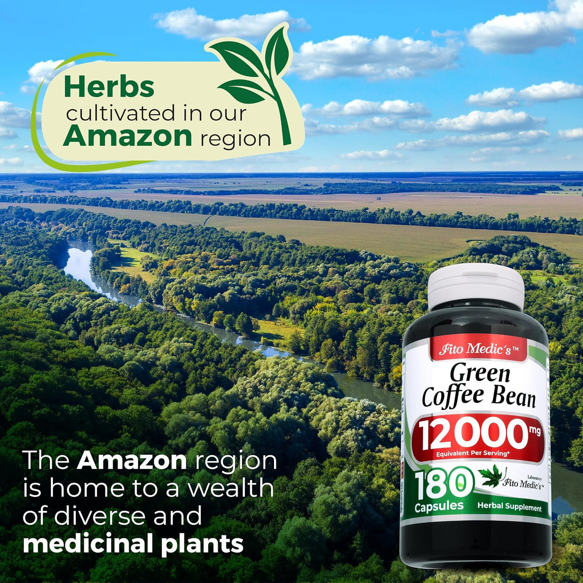 energy boost from green coffee beans