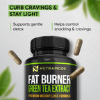 energy boost from green tea