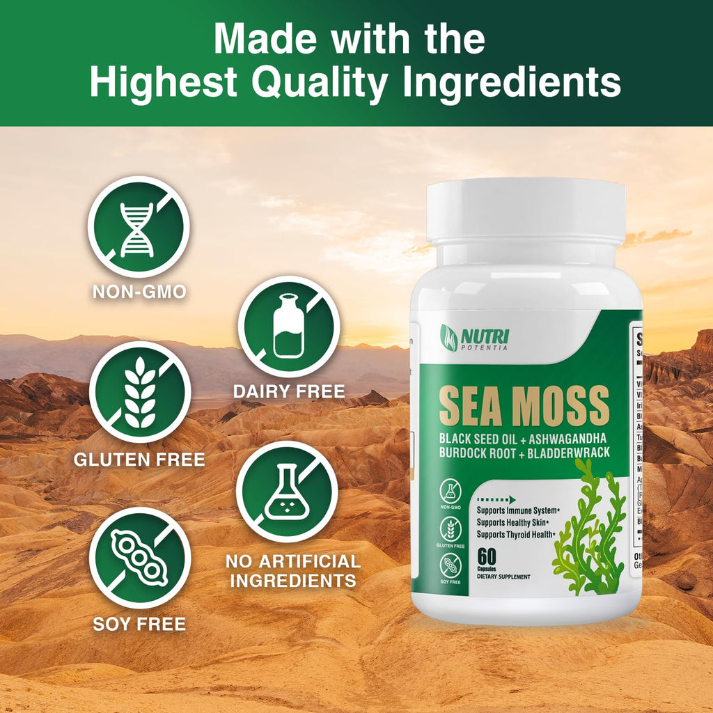 energy boost from sea moss and ashwagandha