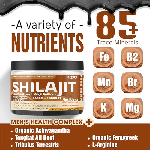 energy boost from Shilajit
