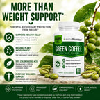 Energy boost green coffee extract