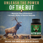 energy boost pills for active lifestyle