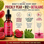 energy boost prickly pear vitamins