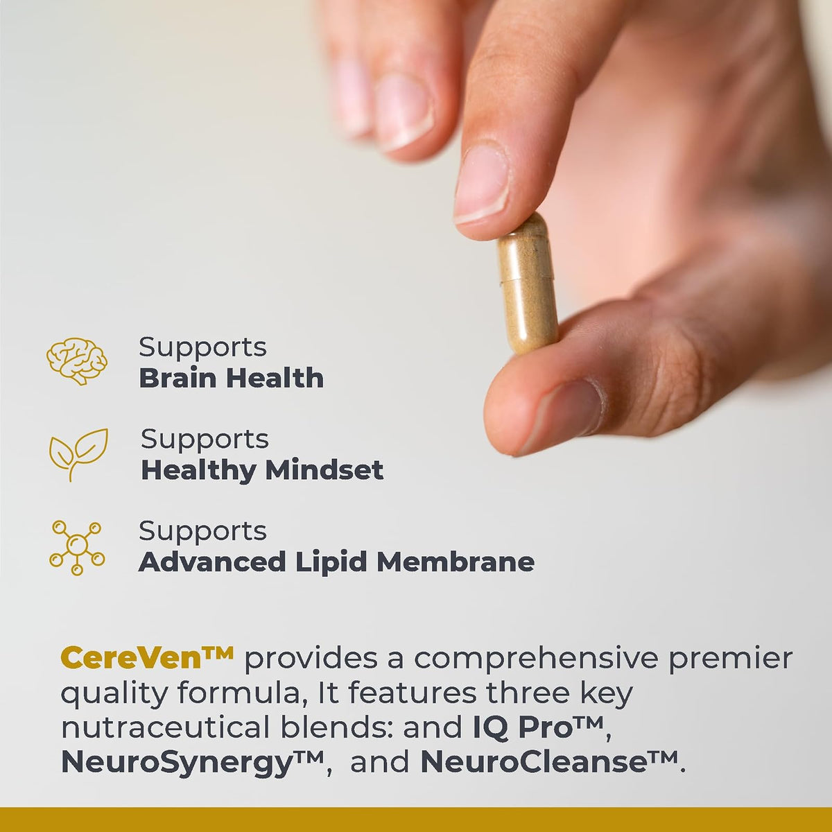 energy boost rhodiola rosea