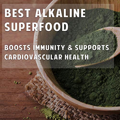 energy boost spirulina for active lifestyle